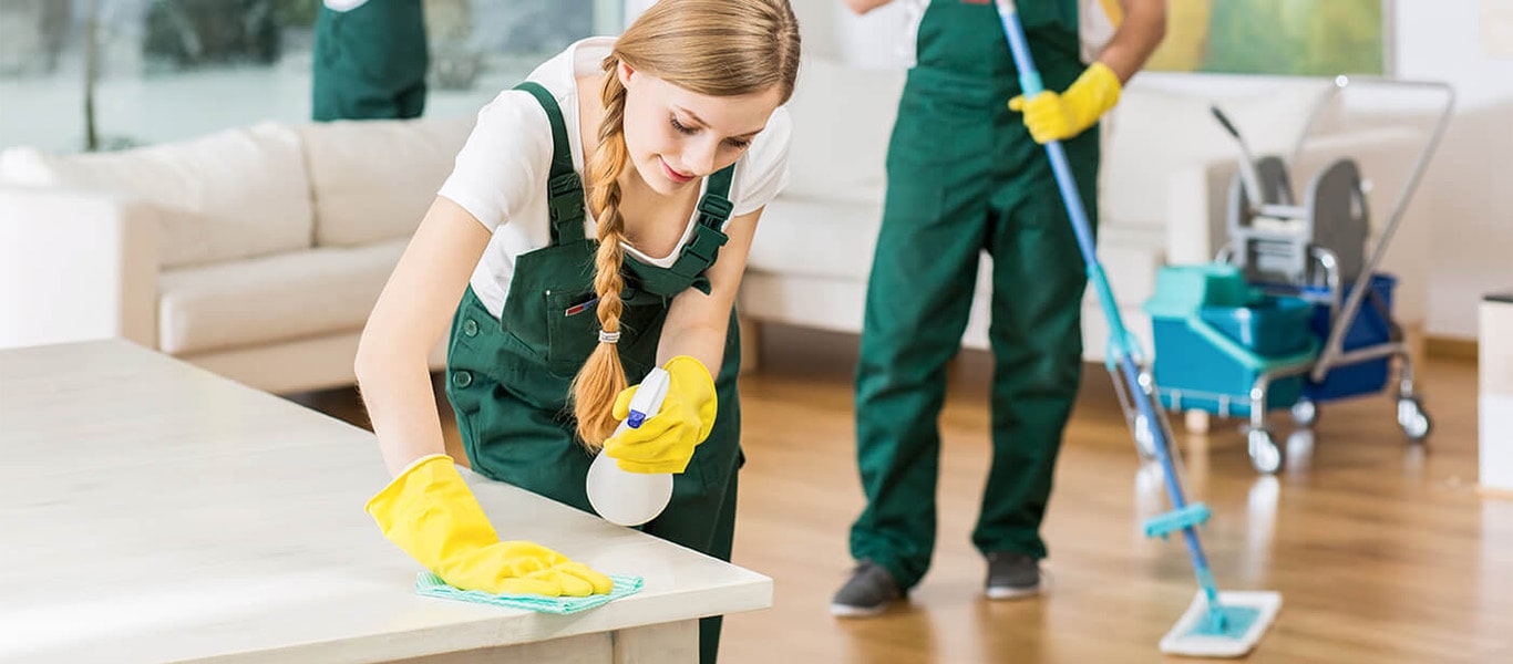 Bloom Up Cleaning Services
